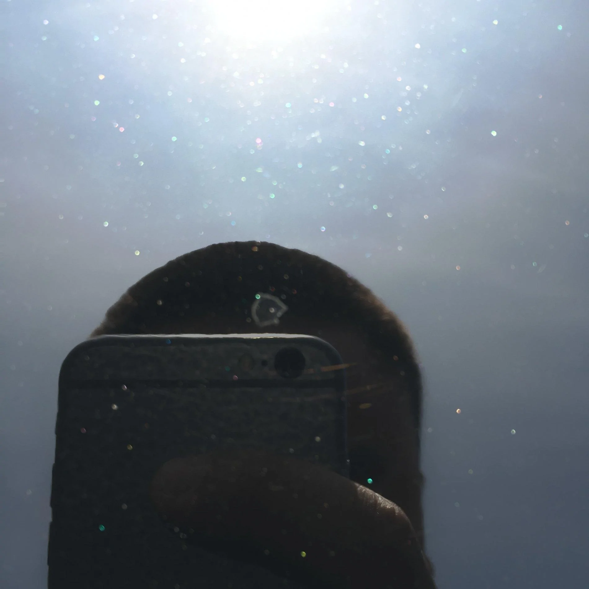 2016+ Honda Civic Forum (10th Gen) - Type R Forum, Si Forum - CivicX.com