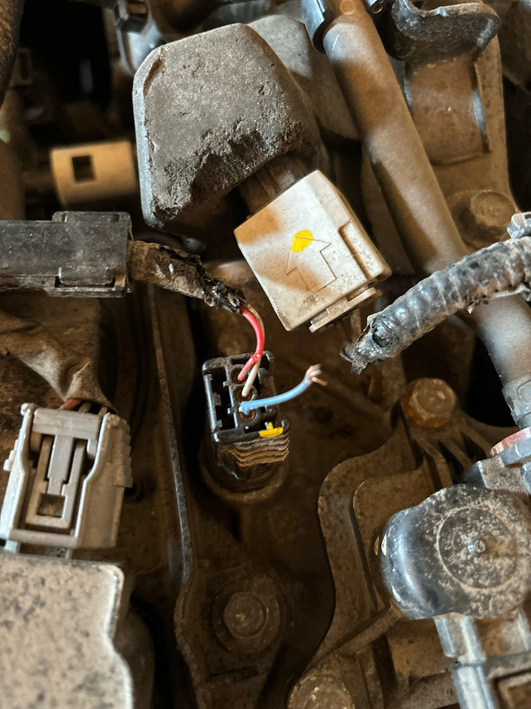 Camshaft position sensor wiring chewed by rodent, how difficult is the ...