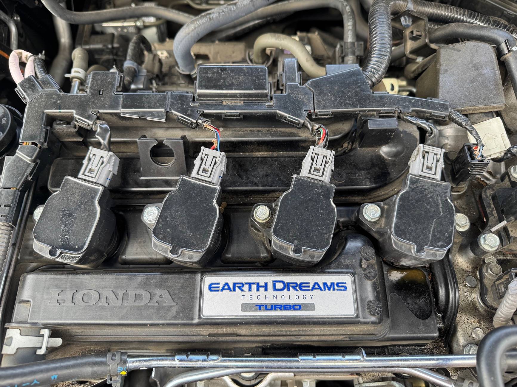 Rats In My Engine Bay. Is this ok? | 2016+ Honda Civic Forum (10th Gen ...