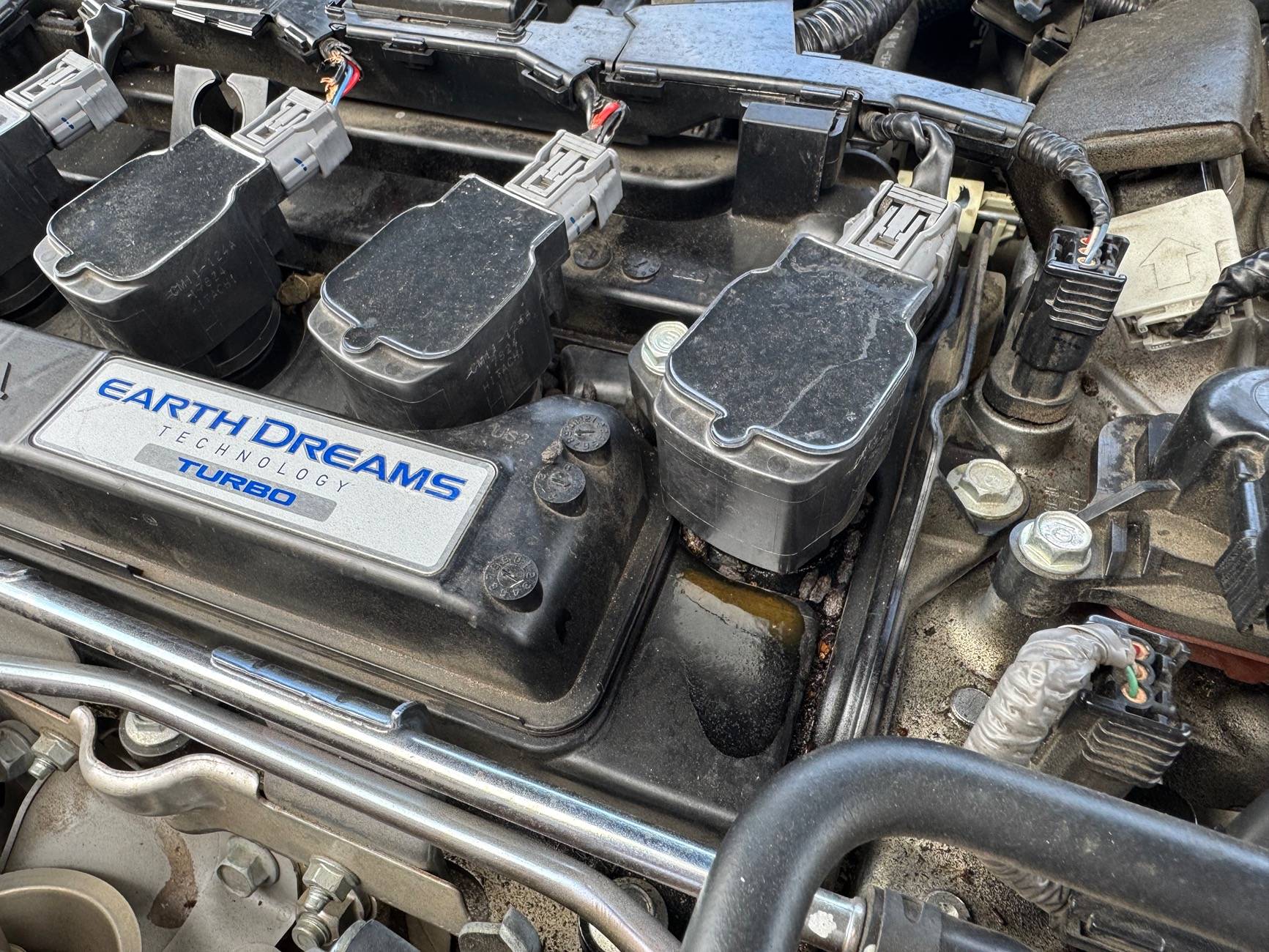 Rats In My Engine Bay. Is this ok? | 2016+ Honda Civic Forum (10th Gen ...