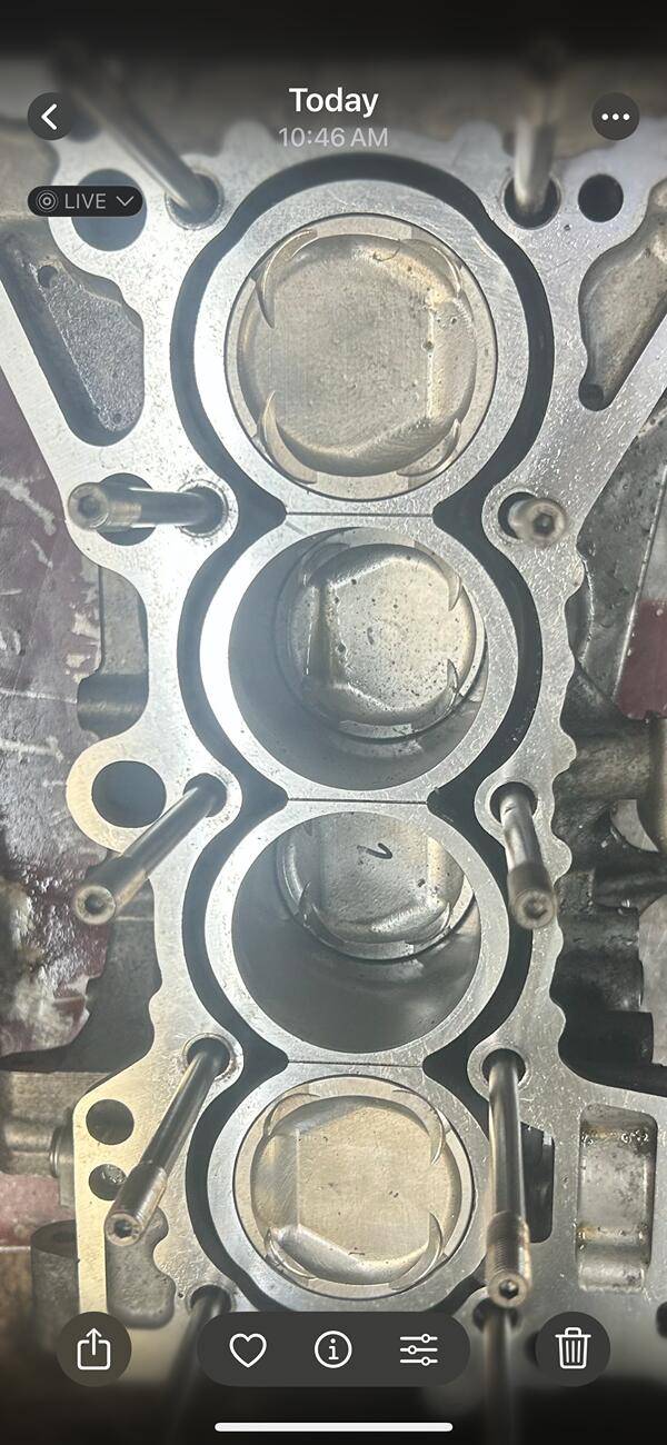L15B7 build. What are your thoughts | 2016+ Honda Civic Forum (10th Gen ...